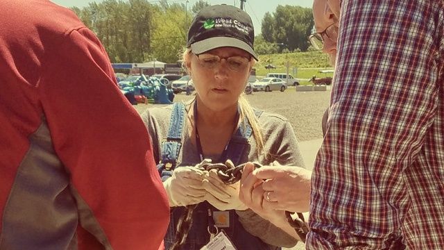 Rigging Training | ITI